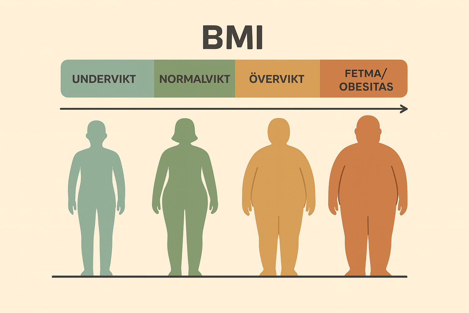 Räkna ut BMI med vår BMI-kalkylator | Vikto